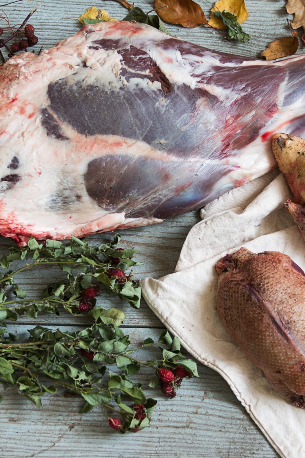 Skjutbana - Thoresta Gård